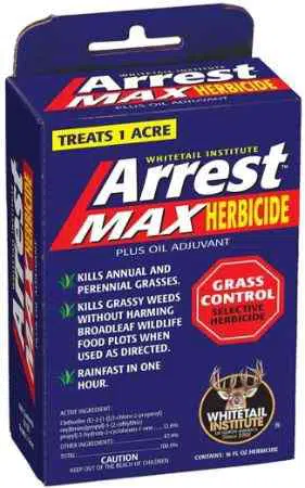 Practical Ways to Kill and Get Rid of Henbit Weed Without Stress