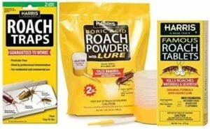Brilliant Fascinating Ways to Kill and Get Rid of Roaches in Car Fast